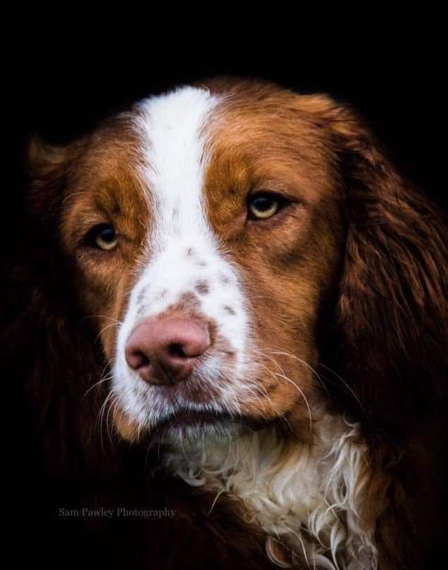 Breezybrook Top Notch